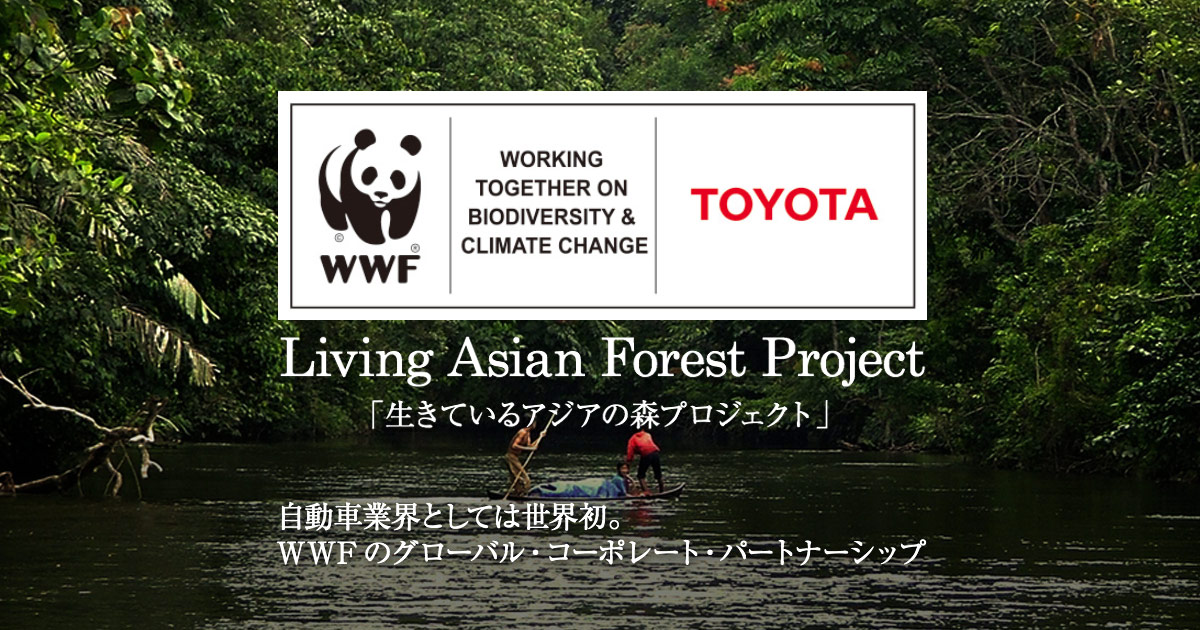 Living Asian Forest Project 「生きているアジアの森プロジェクト」WWFとトヨタ自動車が気候変動分野で協働｜WWFジャパン