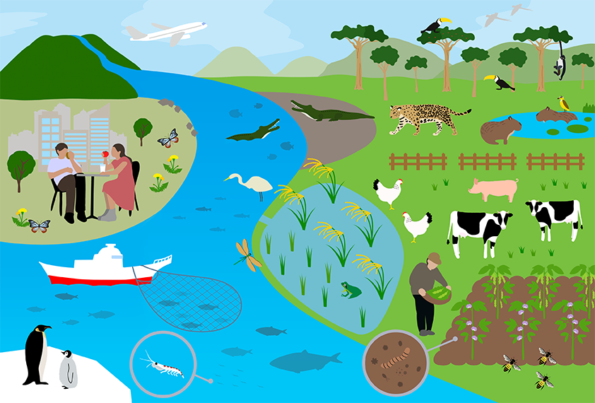 はじめての 『生物多様性』~今おさえておきたいポイントをわかりやすく簡単に解説 |注目の活動特集|wwfジャパン
