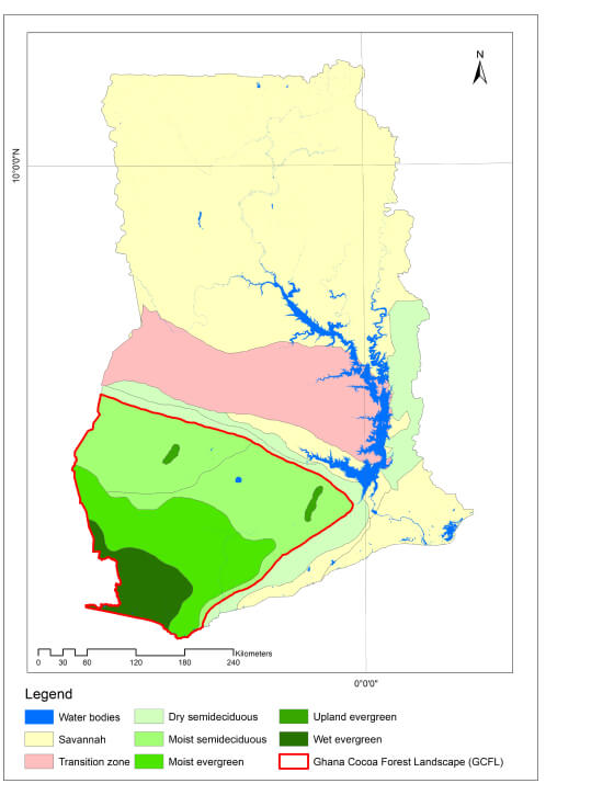 甘い誘惑、苦い現実－ガーナのカカオ農園と森林破壊－ ｜WWFジャパン