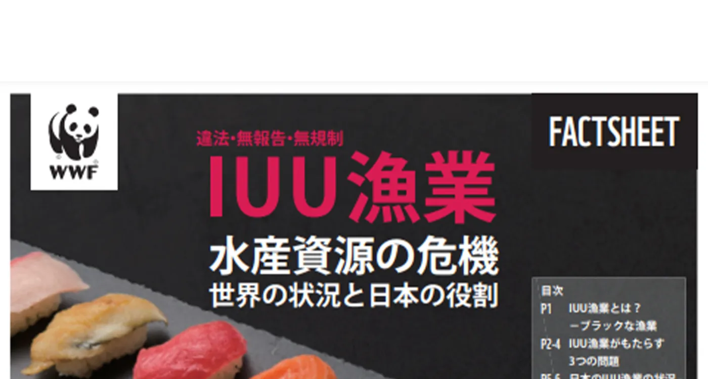 【ファクトシート】IUU（違法・無報告・無規制）漁業 水産資源の危機 ―世界の状況と日本の役割 ｜WWFジャパン