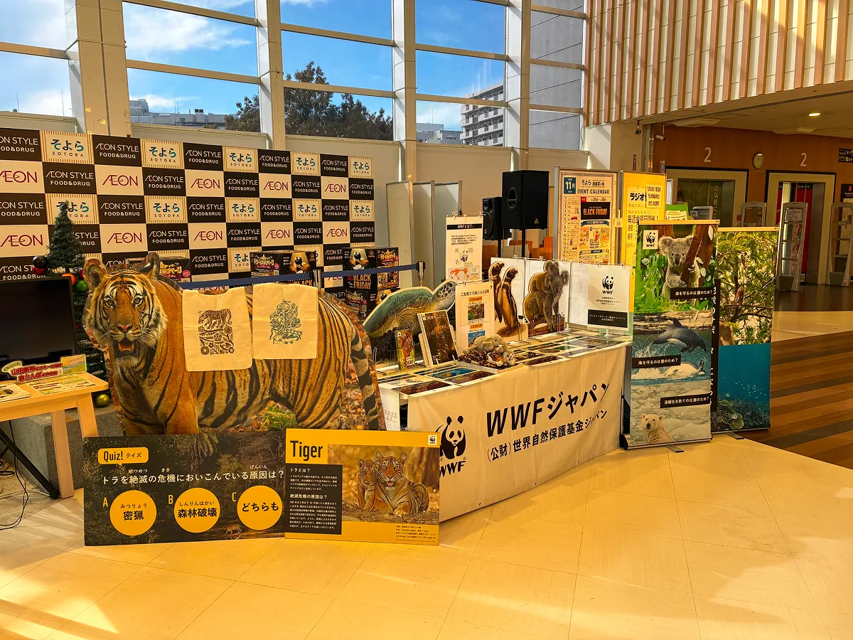Face to Face活動のご紹介 ｜WWFジャパン