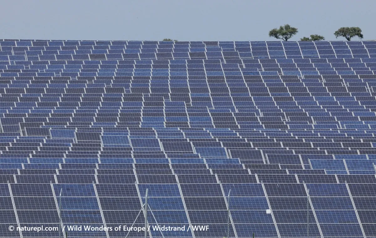 太陽光リサイクル新法 これからが正念場だよ ｜WWFジャパン