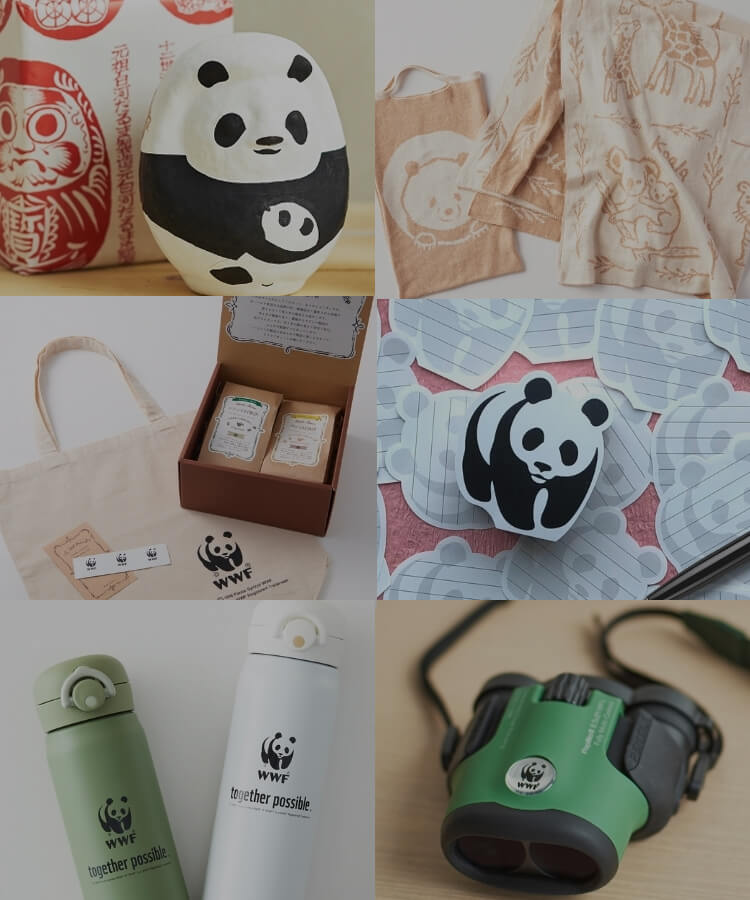 WWFジャパン